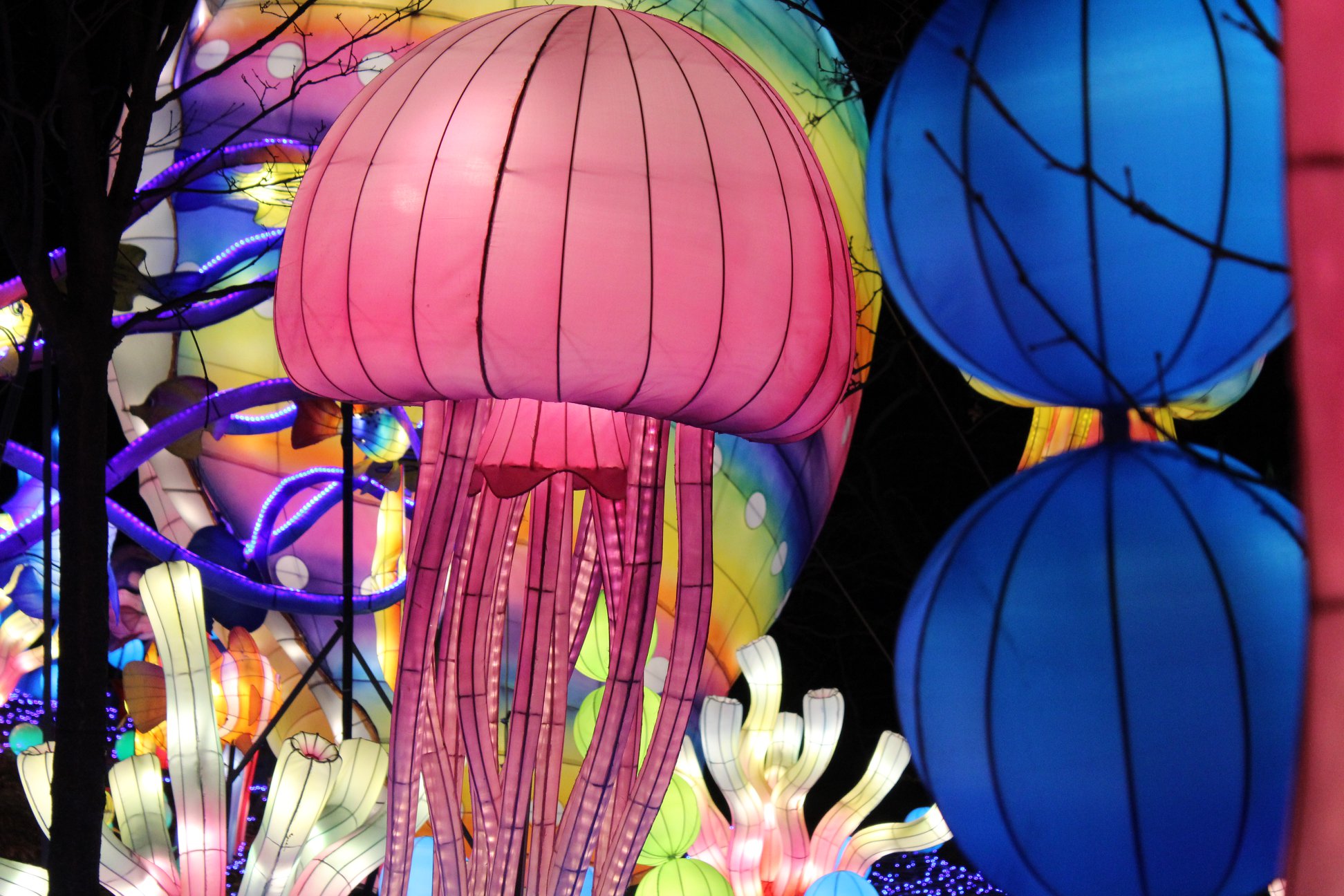Celebrate the Season with Seasky's International Lantern & Light ...